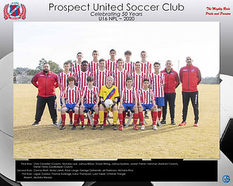 NPL Teams | Prospect United
