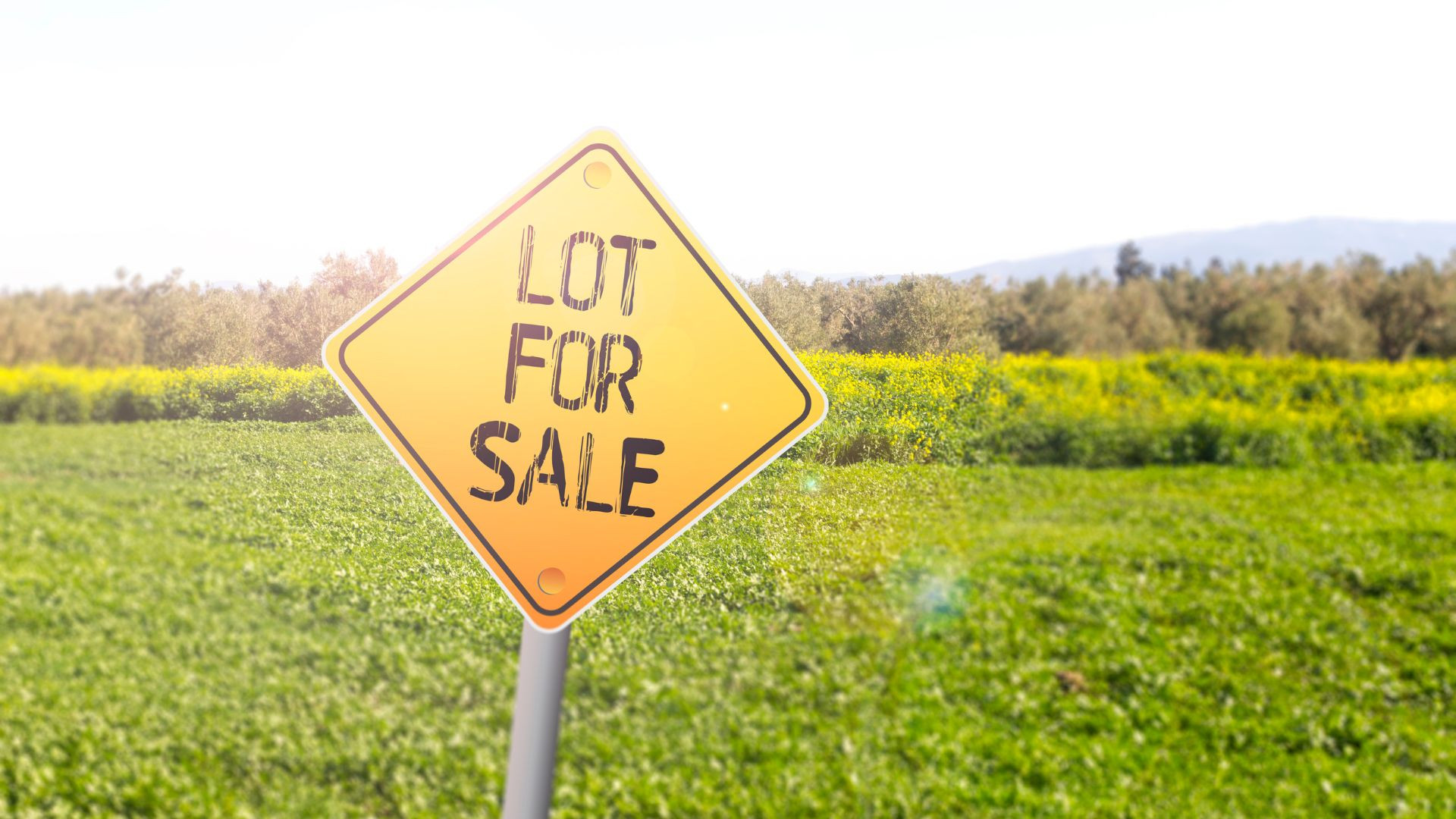 Is Investing in Subdivided Farm Lots and Beach Lots Really Worth It ...