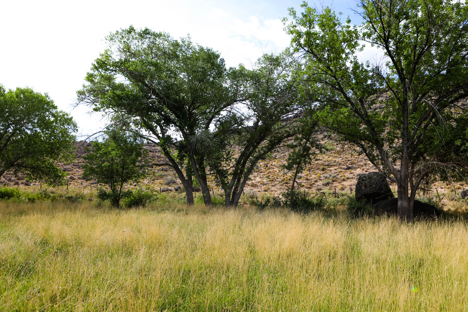 Eagle Mountain Ranch | Wedding Venue | Gunlock, UT, USA