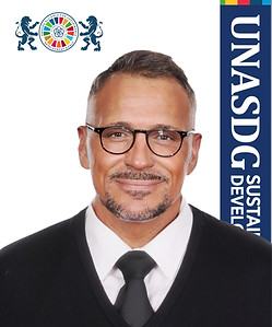 security council | UNASDG-IGO