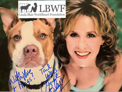 Linda & Riley | lbwfstore