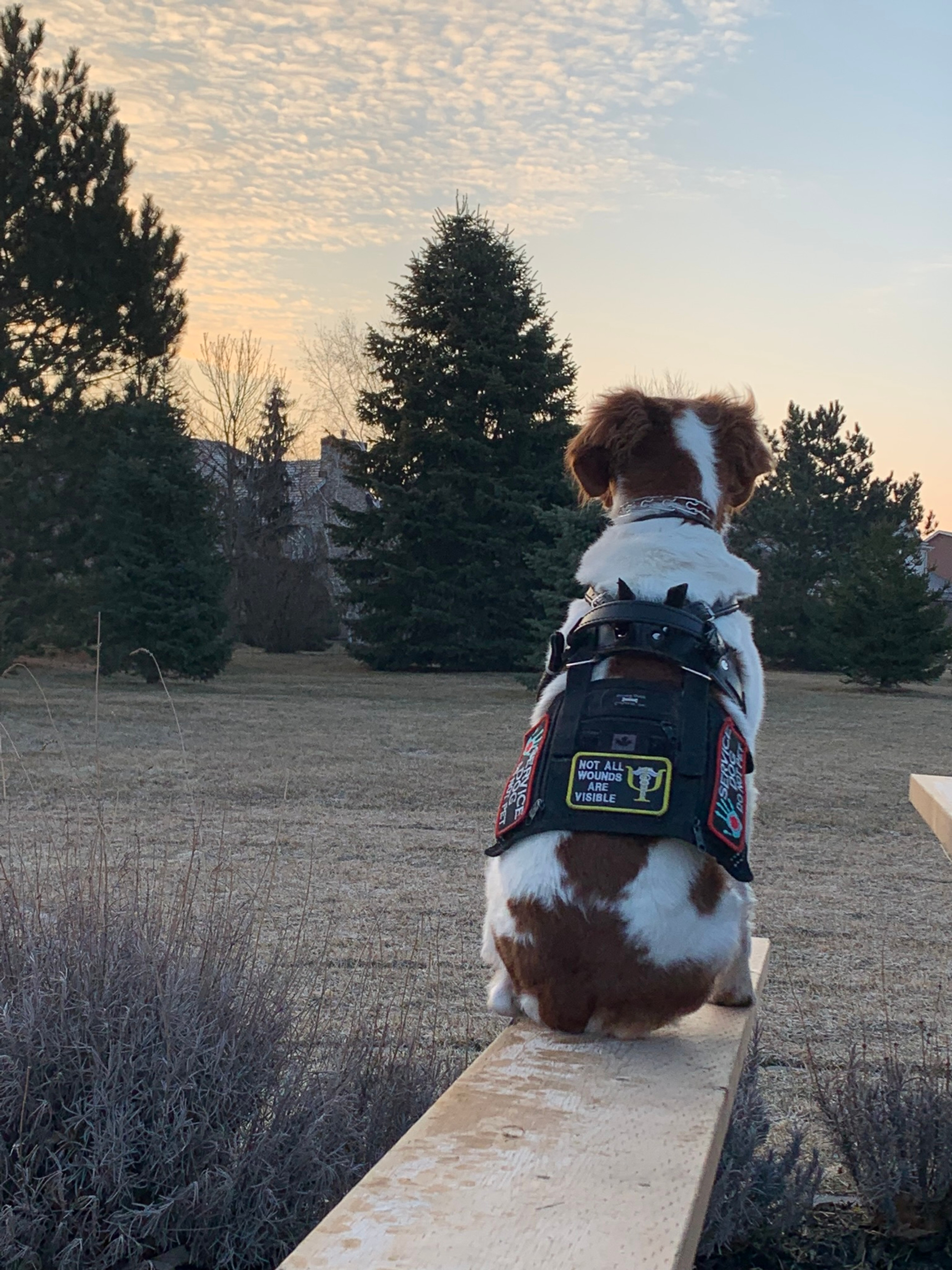 PTSD | The Valhalla Project Niagara | Canada