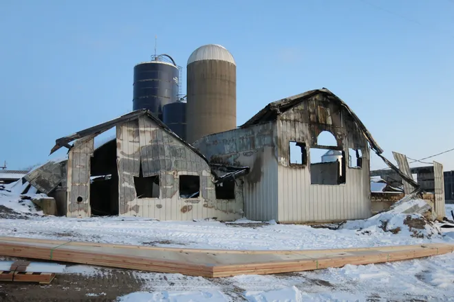 Steel Vs Wood: A Deep Look At the Pros and Cons