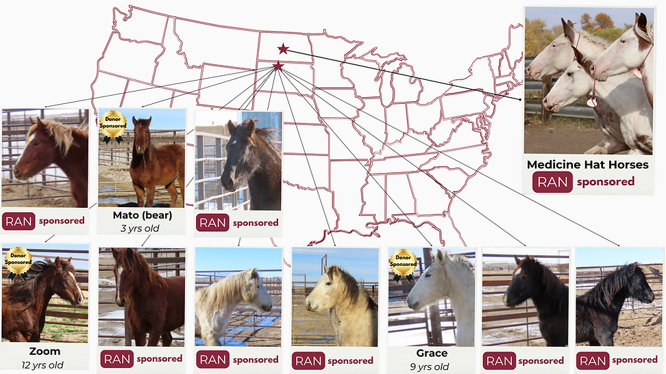 Support our Mission | Rewilding America Now