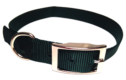 Nylon Dog Collar Metal Buckle - Green | www.embroidered-dogcollars.com