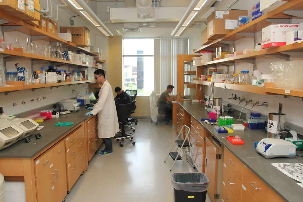 Lab | dickinson-group