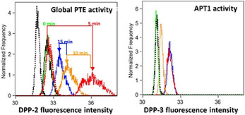 Publications | dickinson-group