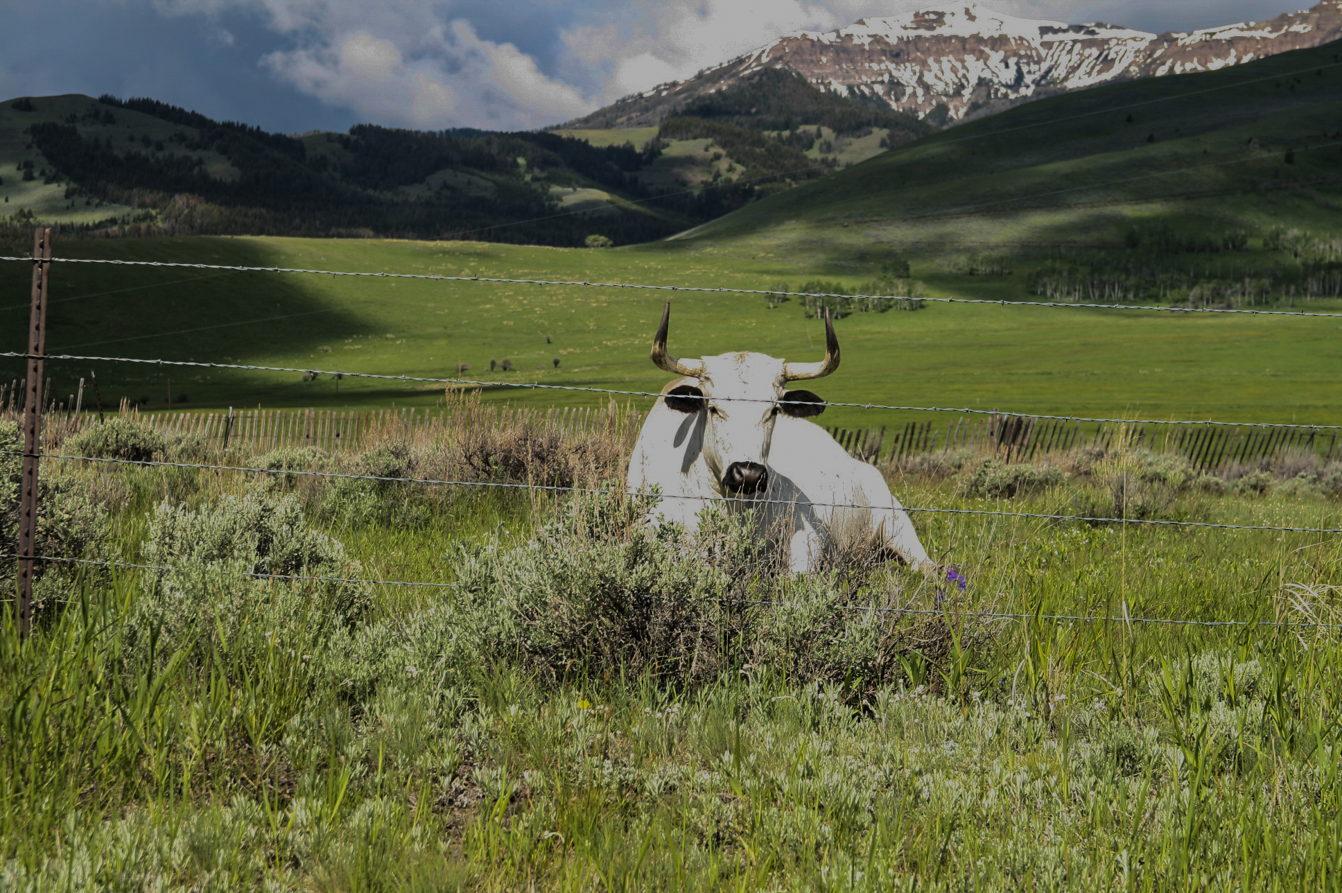 Photo Gallery | Hubbard's Yellowstone Six Quarter Circle Ranch