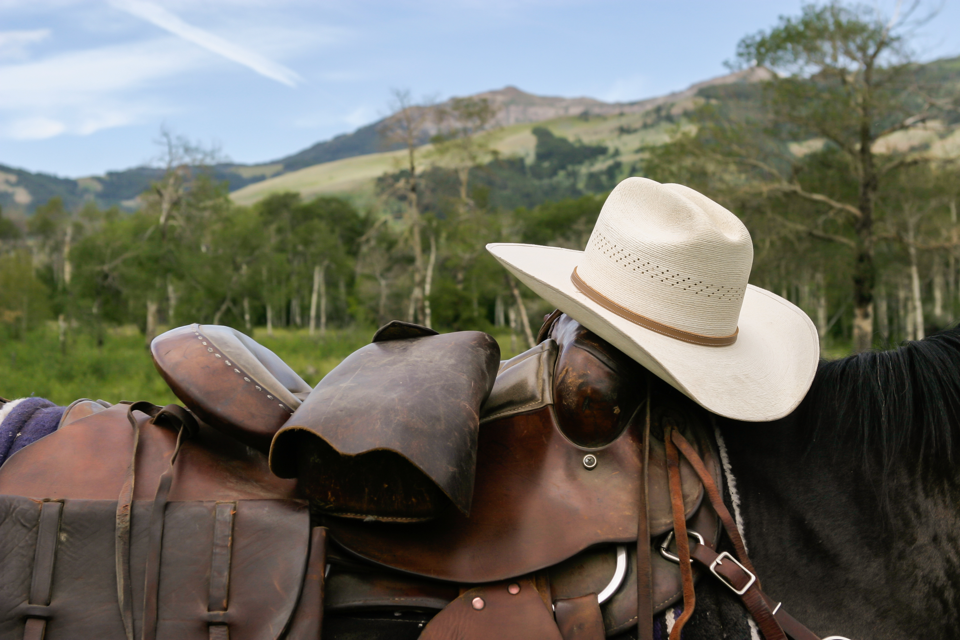 Photo Gallery | Hubbard's Yellowstone Six Quarter Circle Ranch