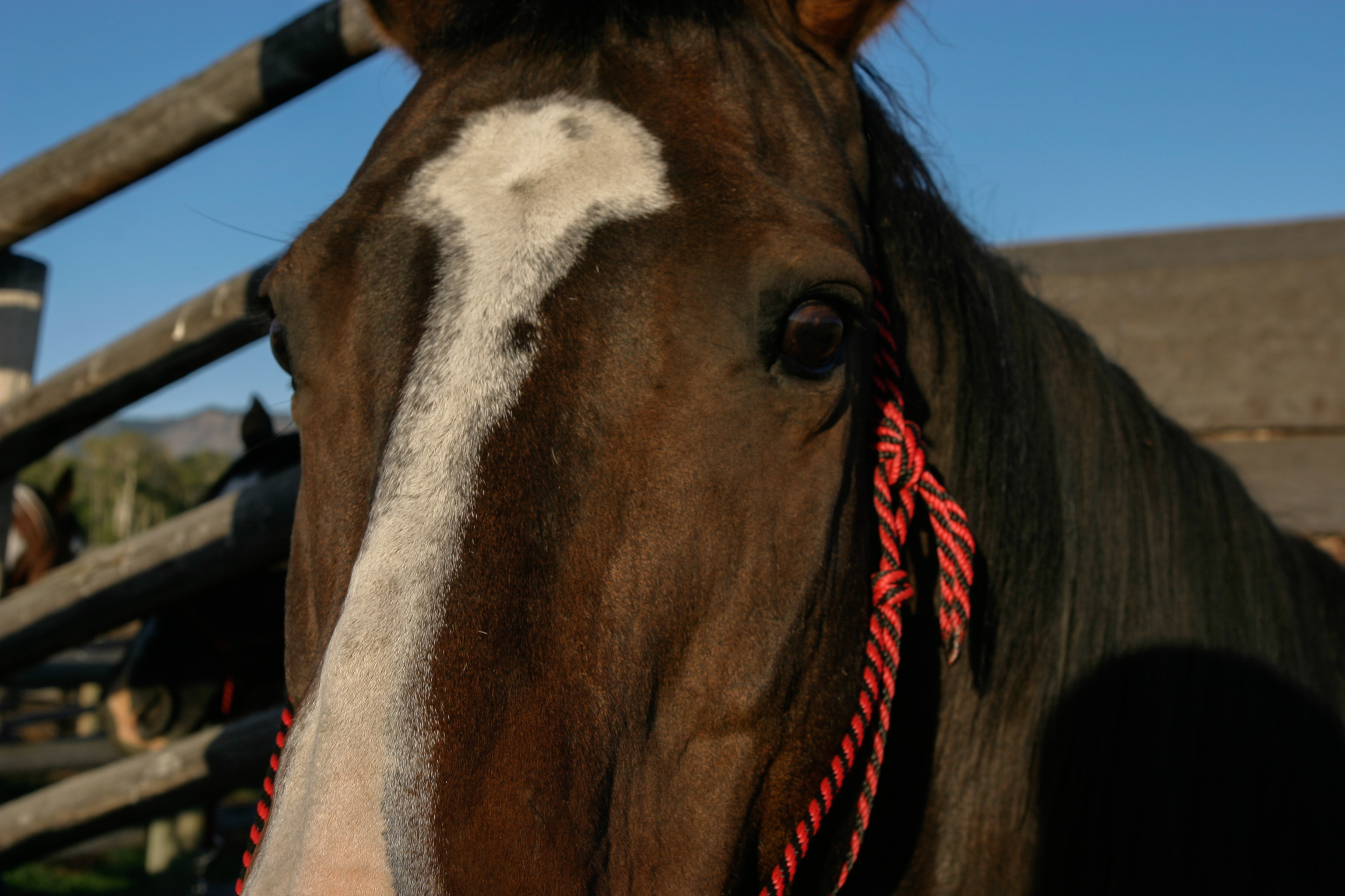Photo Gallery | Hubbard's Yellowstone Six Quarter Circle Ranch