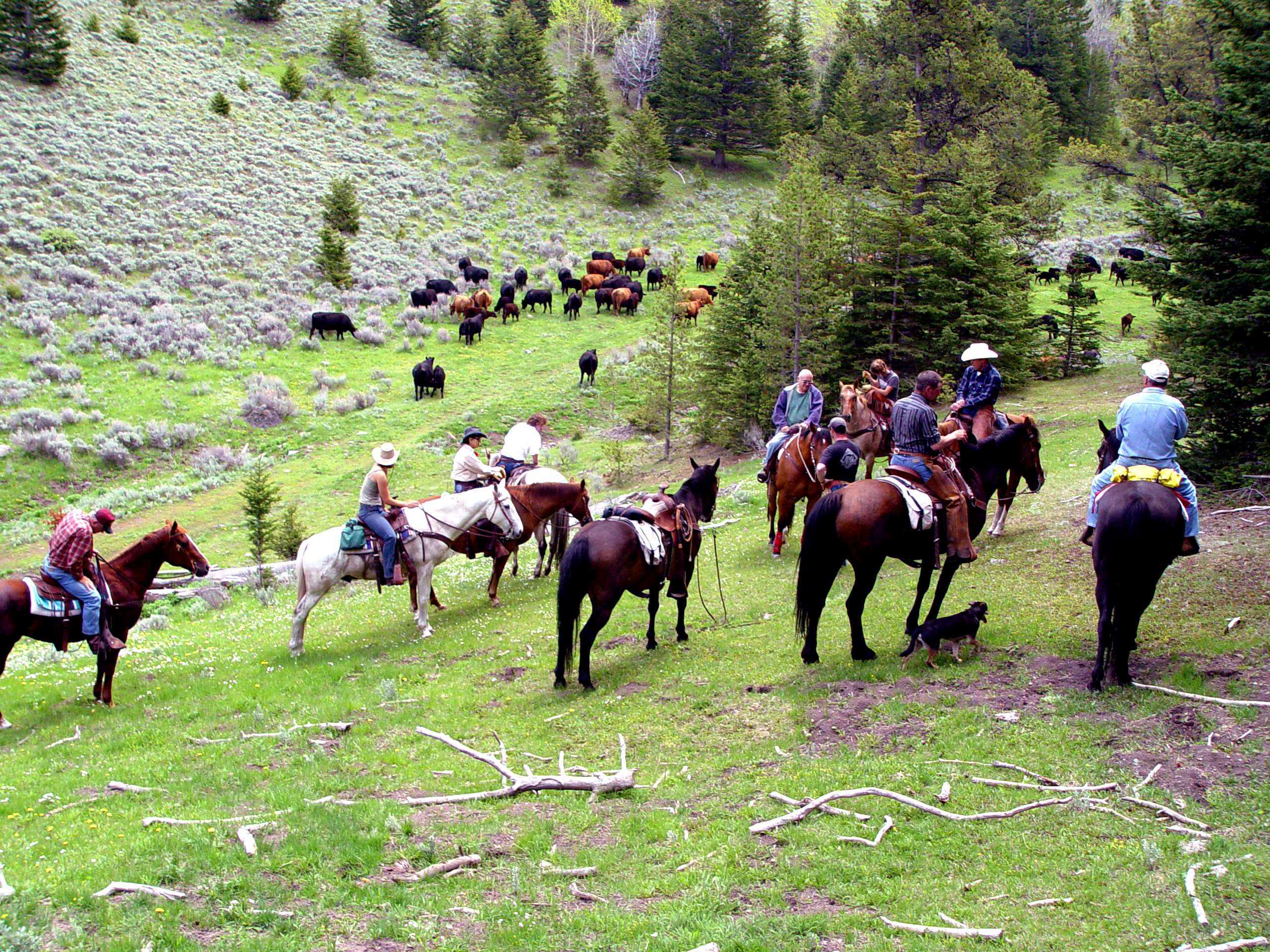 Photo Gallery | Hubbard's Yellowstone Six Quarter Circle Ranch
