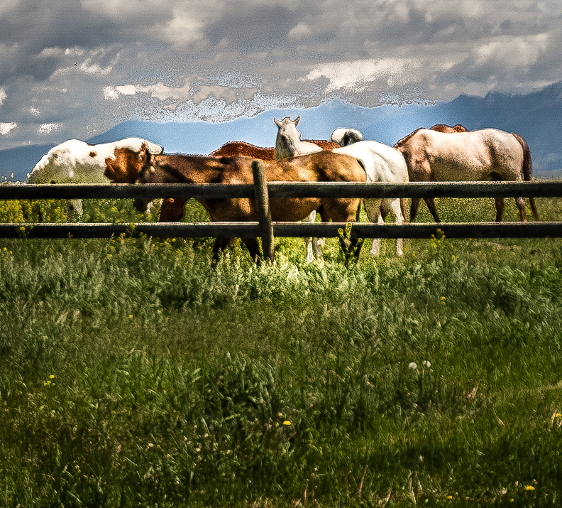 Photo Gallery | Hubbard's Yellowstone Six Quarter Circle Ranch