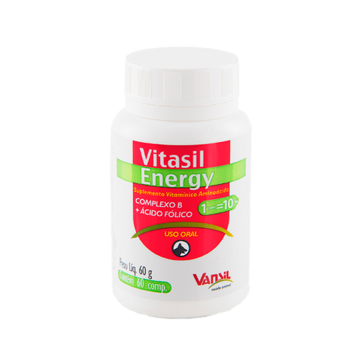 Vitasil Energy 60g | vansilsaudeanimal
