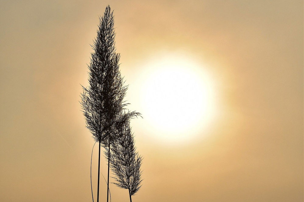 Solstício de junho - início do inverno no hemisfério sul