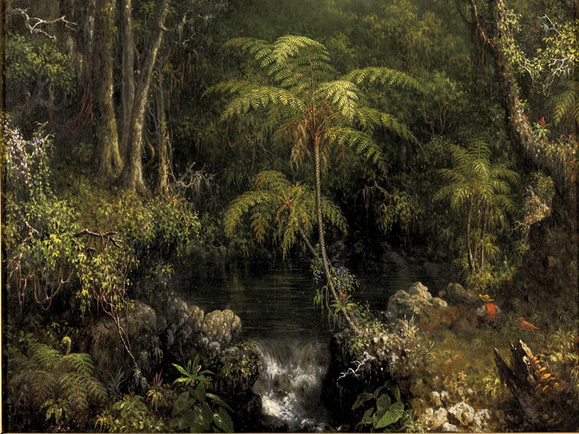 As aventuras para investigar a flora