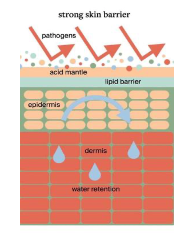 Why your skin might be hyper-reactive