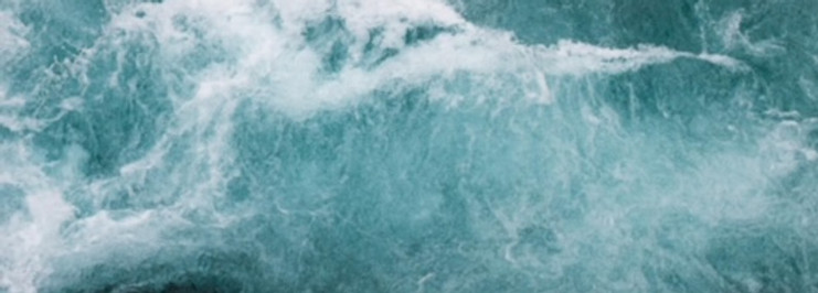 Resources | VITALEDGE