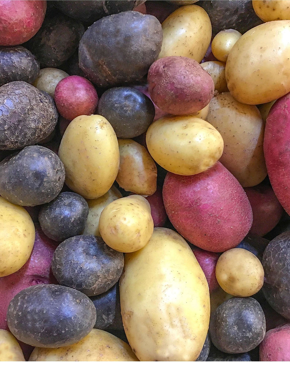 Grounded & Rooted with Potatoes SuperPowers By Caroline Grenier Grounded & Rooted with Potatoes SuperPowers By Caroline Grenier