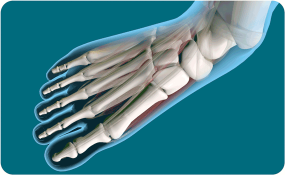 A quick look at "Midfoot pain". If you are suffering from pain in ...