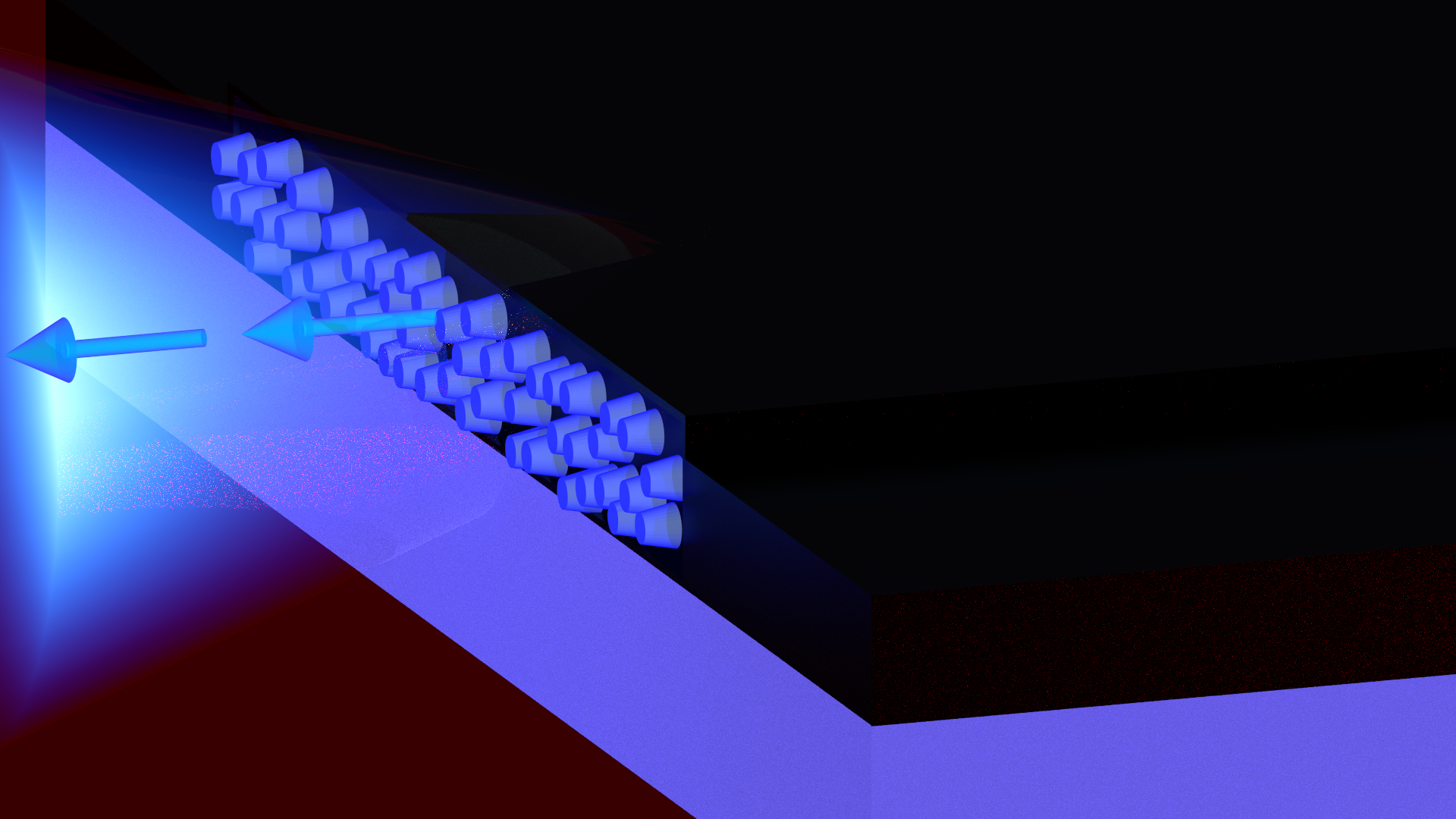 Gallery | alina-karabchevsky