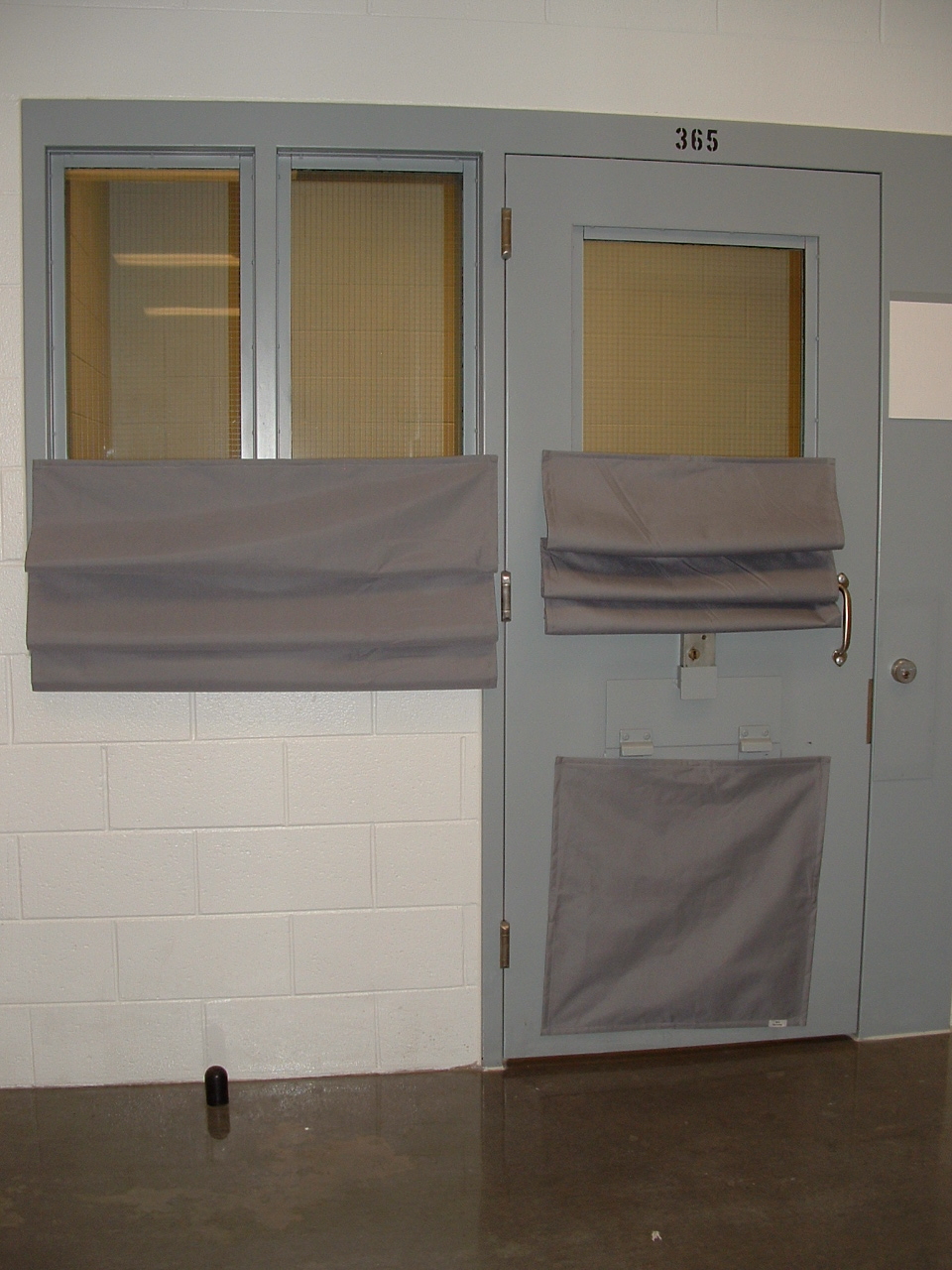 Wild Buffalo Technologies and Innovations, LLC jail curtains, magneti