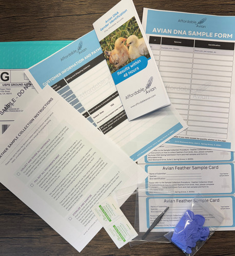DNA Avian Gender Test Kit- Feather Samples | Affordable Avian