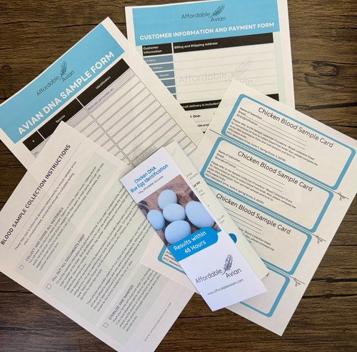 10 Pack DIY DOWNLOAD- Chicken Blue Egg Gene Test Kit- Blood Samples ...