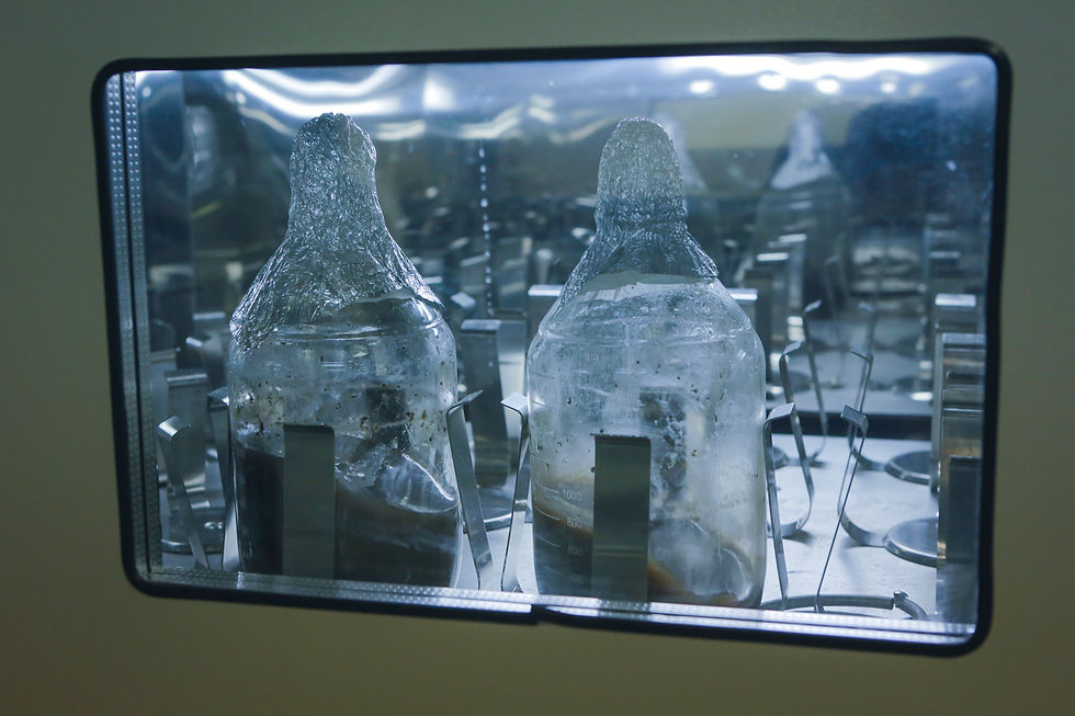 Biological Fertilizers | Microbika (pty) Ltd