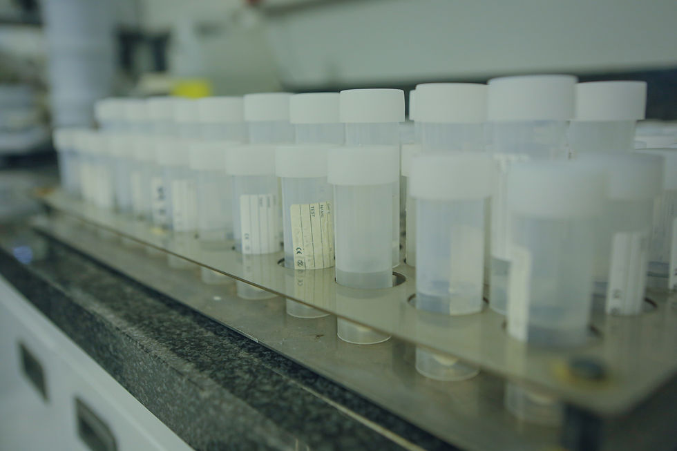 Biological Fertilizers | Microbika (pty) Ltd