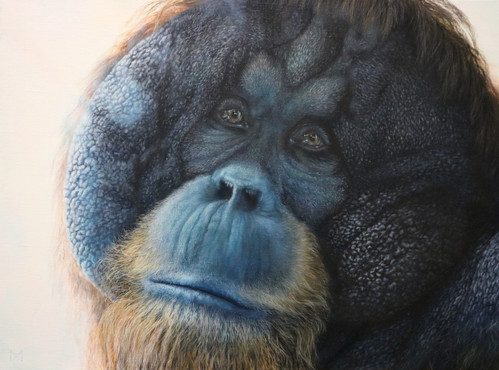 Windows | Maxine Shea Art