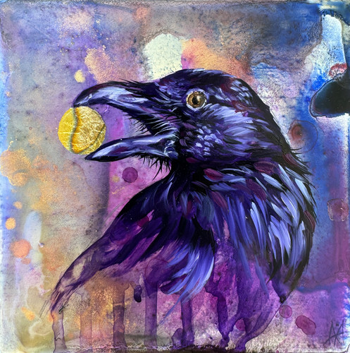 Morning, Raven | Maxine Shea Art