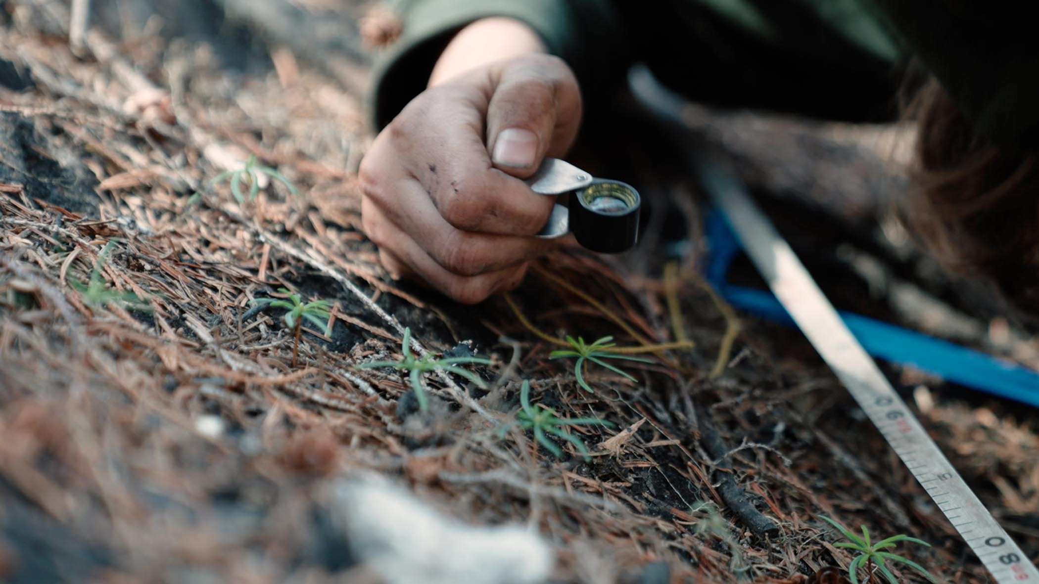 Objectives Western Fire Forest Resilience Collaborative