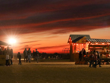 Lowe Family Farmstead | Blog