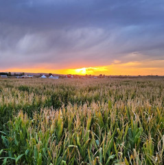 Lowe Family Farmstead | Plan Your Fall Visit