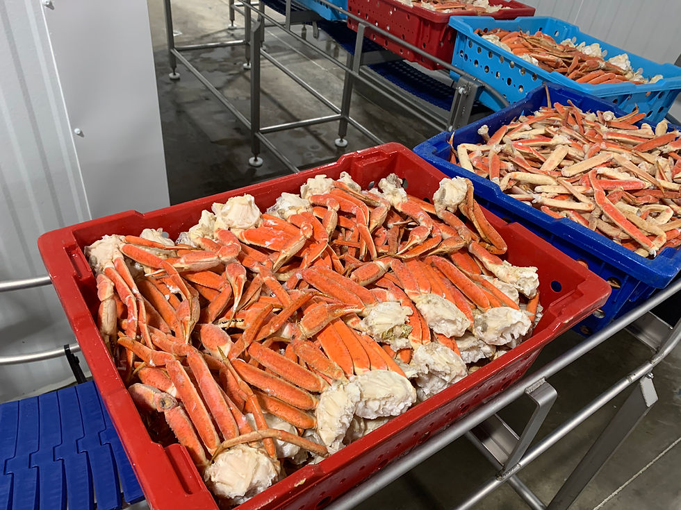 Seafood Processing Equipment St. John’s | Home | C & W Industrial ...