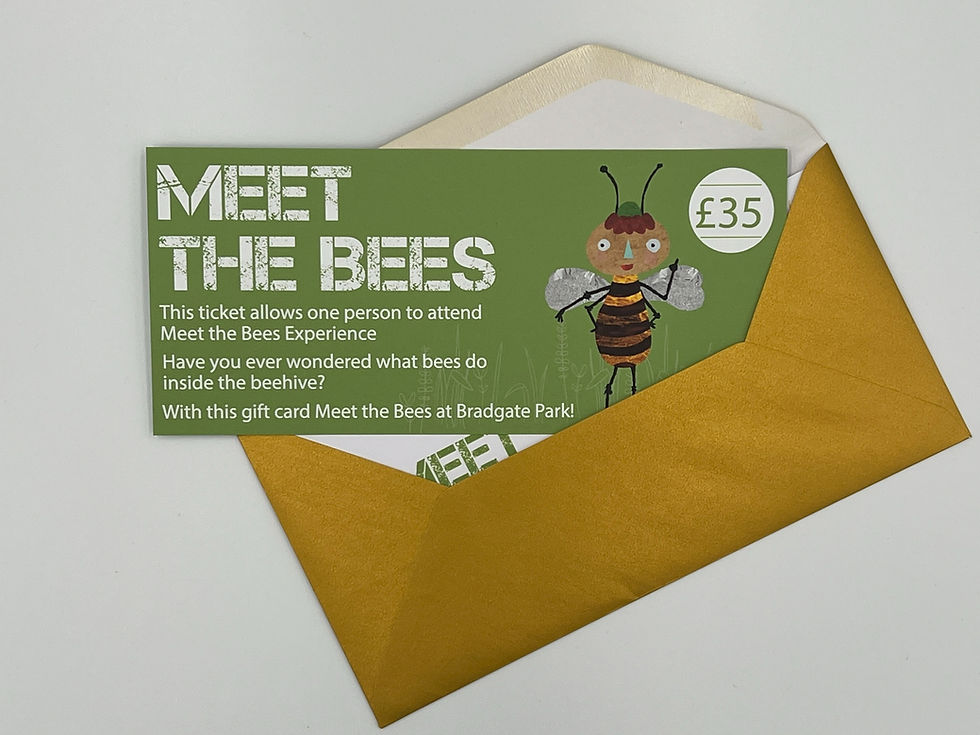 Meet the Bees Experience - Gift Voucher | Honey Craft