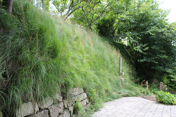 Envirolok, LLC | Green Retaining Wall Alternative | Living Shoreline ...