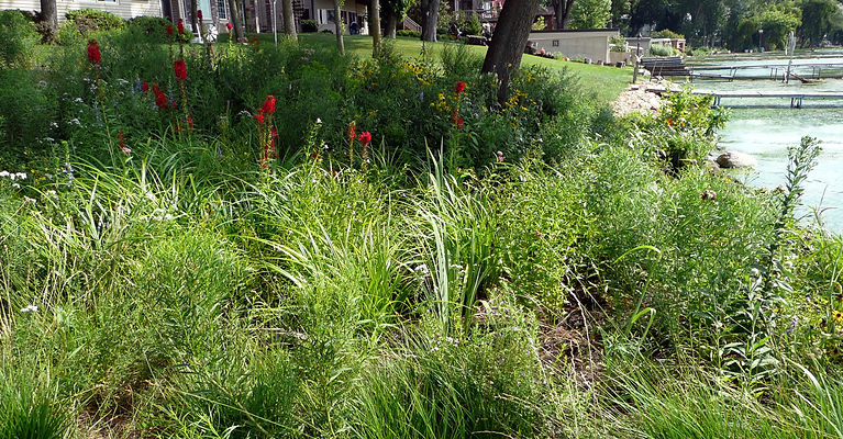 Shoreline Types | Envirolok, LLC