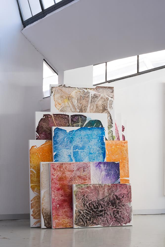 Rotem Reshef | Imprints 2014-2015