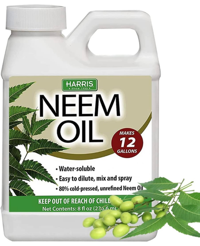 HARRIS Neem Oil | Ambrogi Acres
