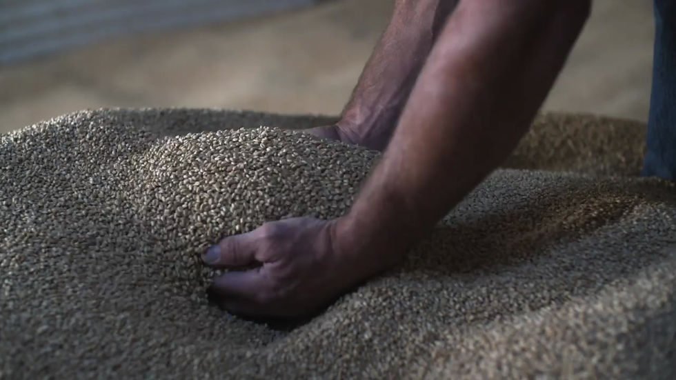 Farmers Brewing Co. | Farmers Brewing Company | Princeton