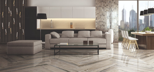 Exotic Stone Fossil / Natural | SB TILE AND STONE