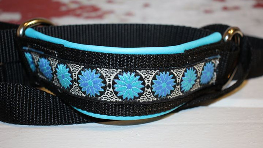 Lure Coursing Slip Lead | Lakeview Dog Gear