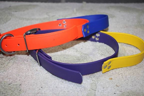 Bio Collar 1" | Lakeview Dog Gear