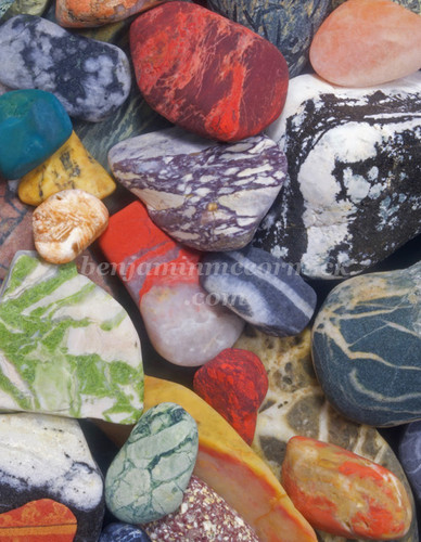 Vineyard Colors | Benjaminmccormick