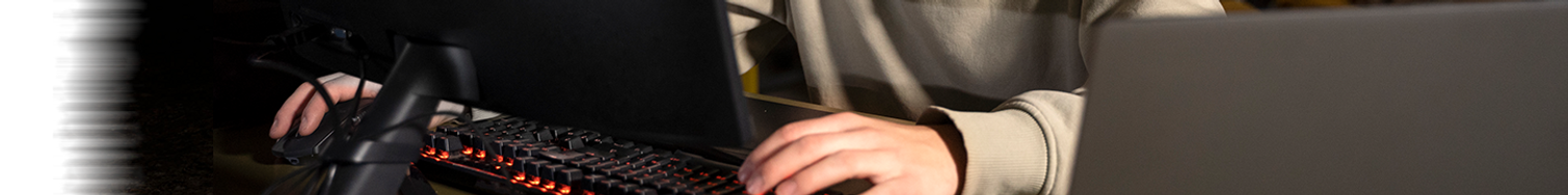 Testudo Works | game outsource studio