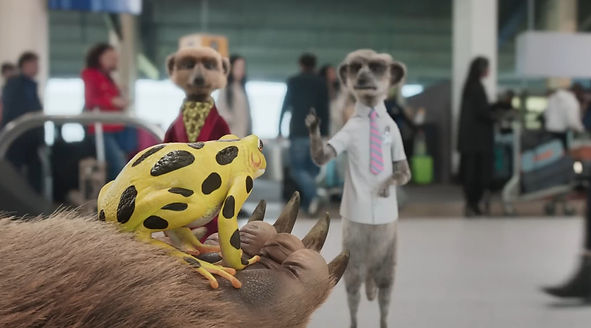 Rigstore Work | Compare the Wombat Advert