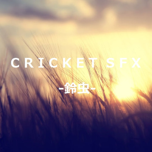 CRICKET SFX -Suzumushi- 96kHz 24bit version | OGAWA SOUND ONLINE