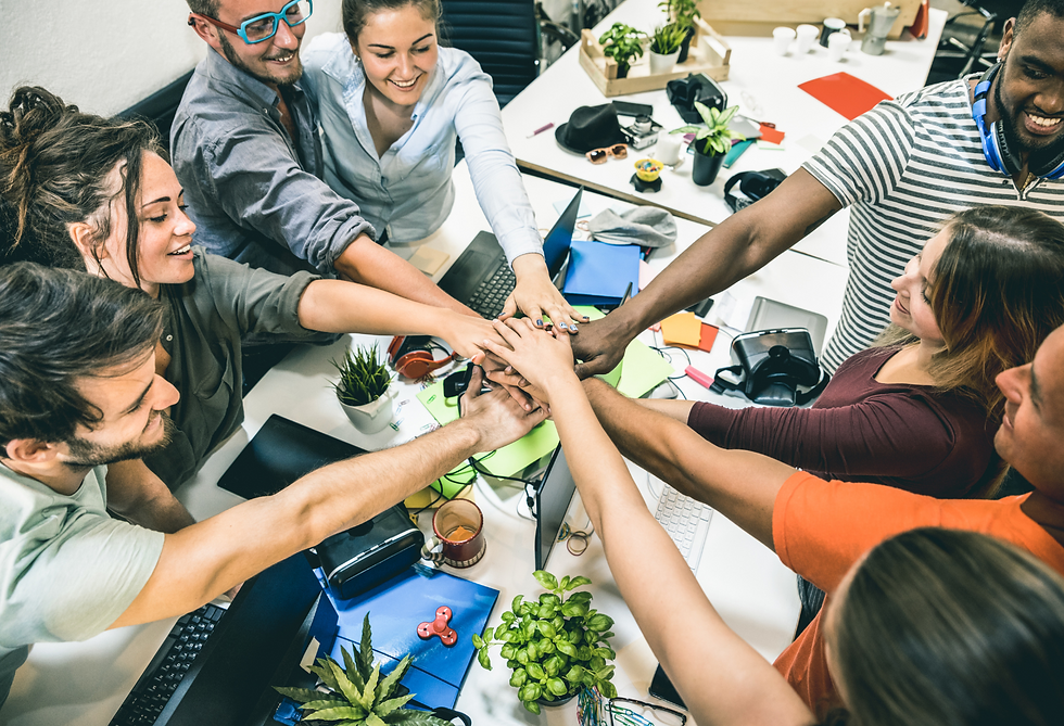 Optimizing Employee Resource Groups (ERGs) with Mentorship