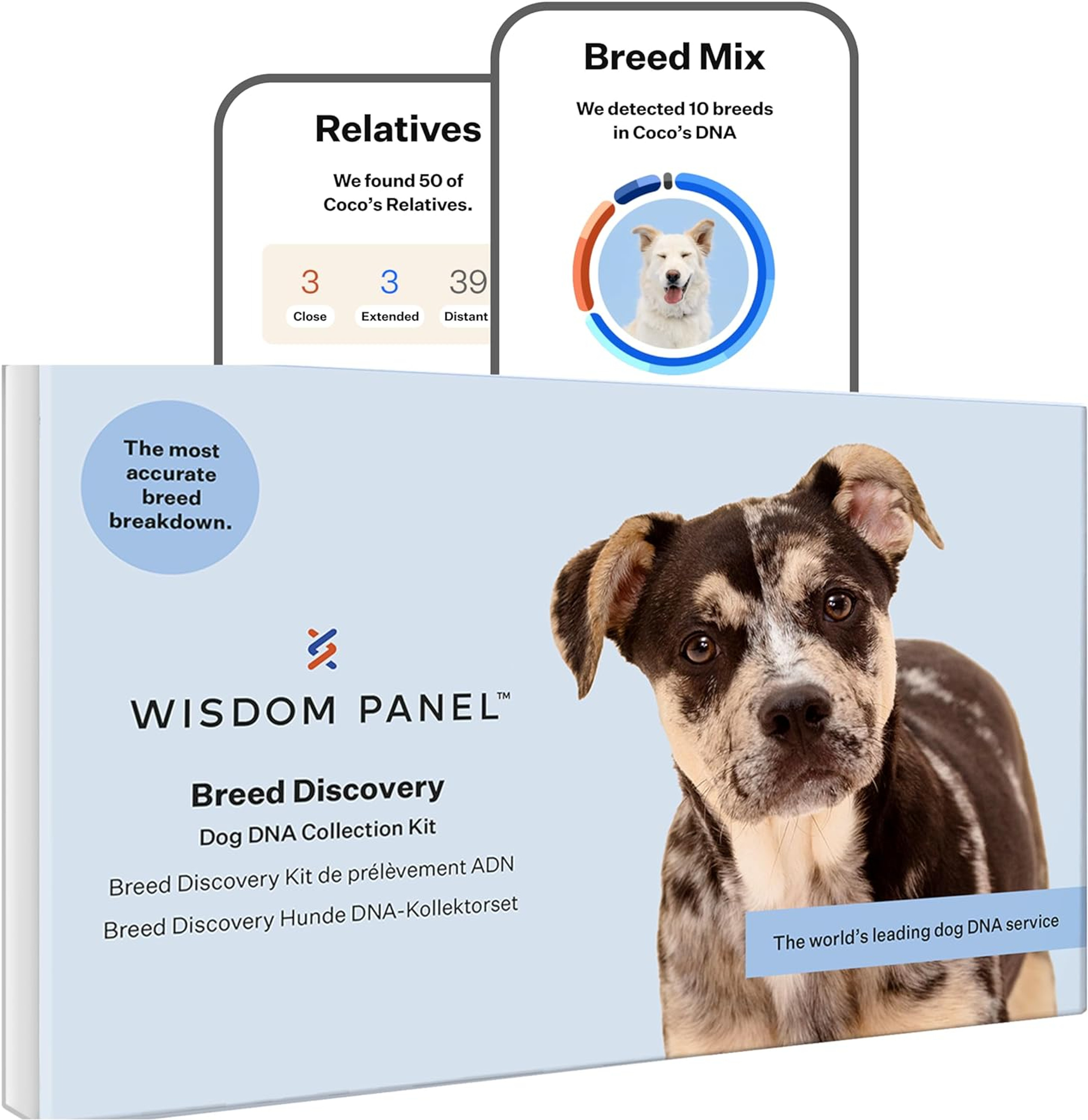 'Best innovative dog products for 2024: Top 10 picks every pet parent ...
